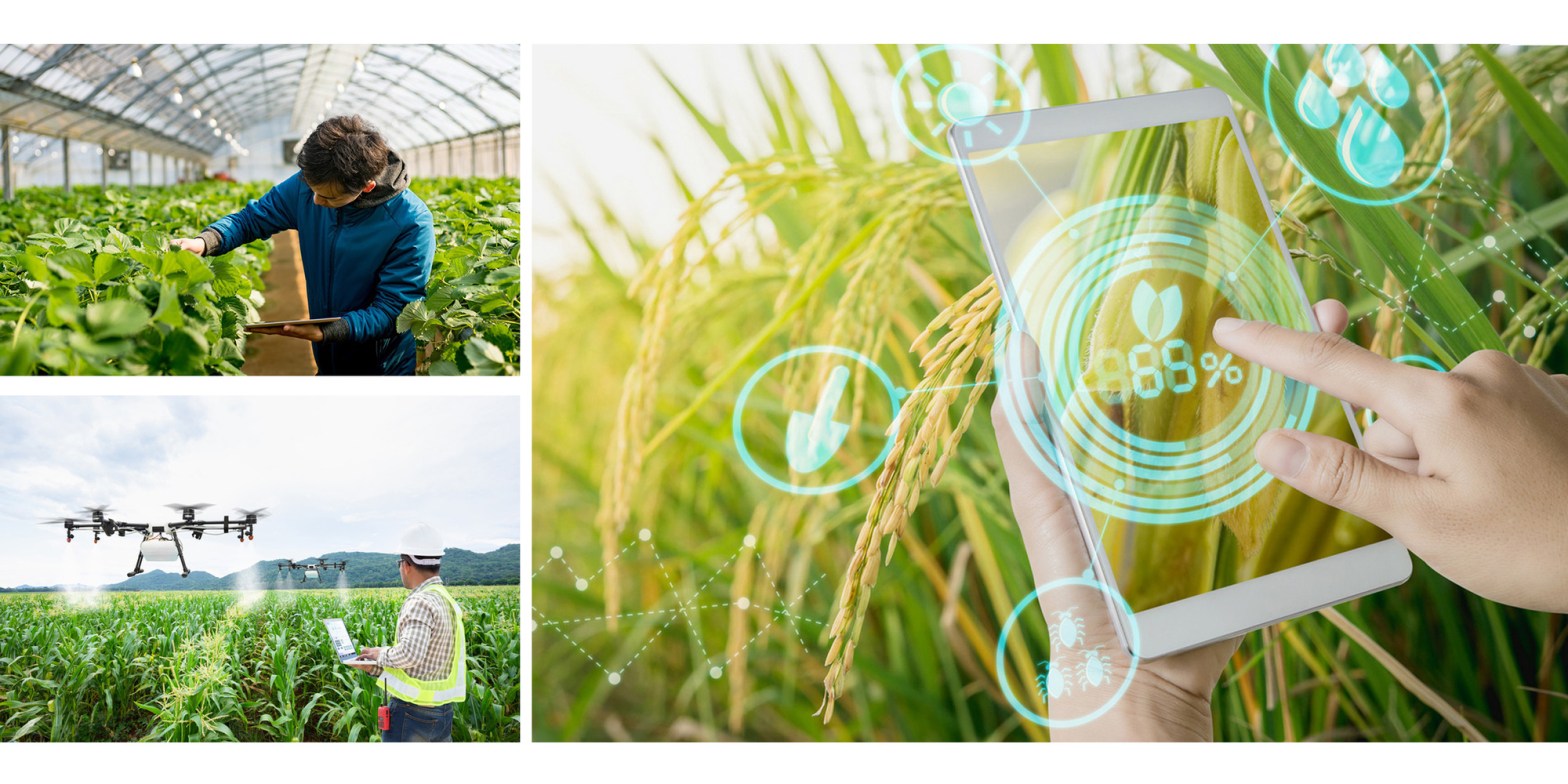 AGRICULTURE – PILLAR OF SUPPORT FOR NATIONAL ECONOMY – Mega Story