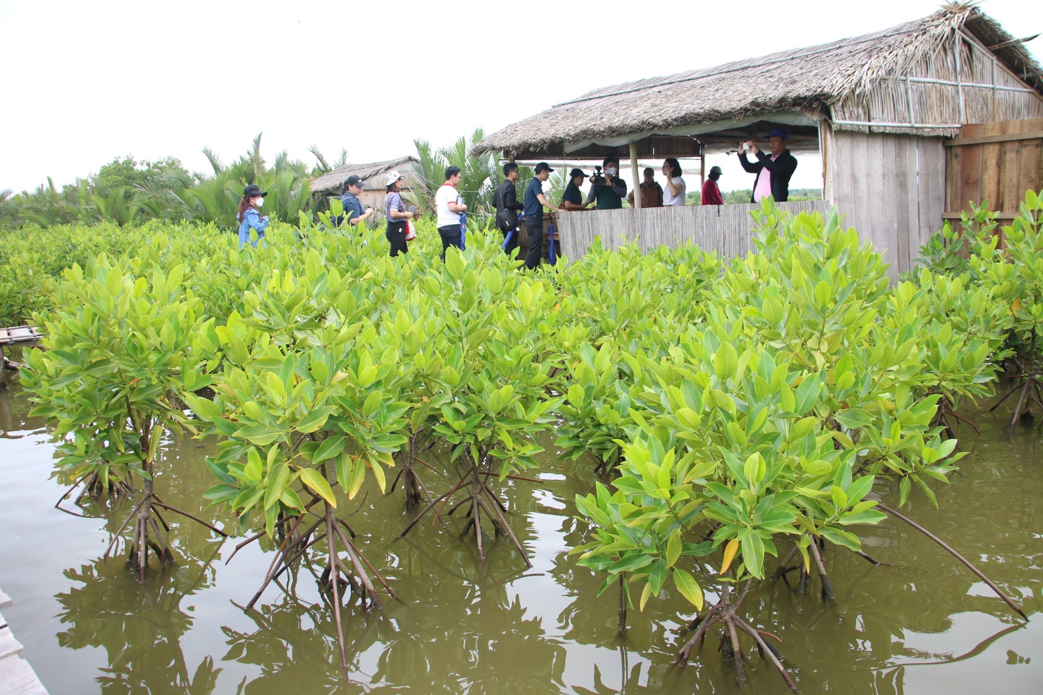 VIETNAM ACTS FOR PLASTIC-FREE MARINE ENVIRONMENT – Mega Story